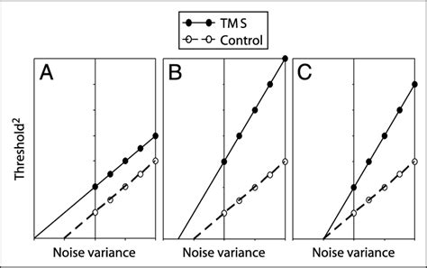 Graphical Illustrations Of Three Hypothesized Effects Of TMS On Squared Download Scientific