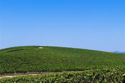 Знаменитая заставка Windows Xp существует на самом деле Обсуждение переводов Усадьба Урсы