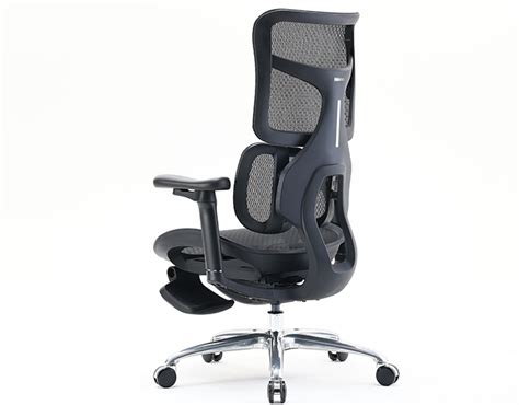 Sihoo Doro S100 כסא ארגונומי יוקרתי שחור הנציג הרשמי של Sihoo בישראל