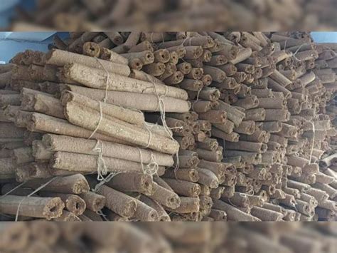 Women Making Wood From Cow Dung Holika Dahan Will Be Done With