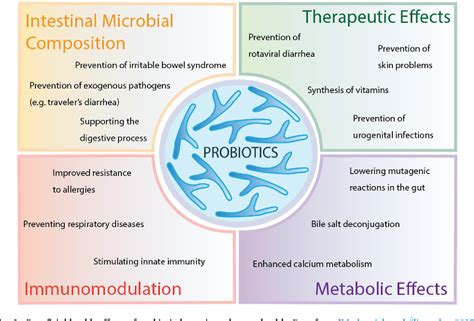 Figure 1 From Application Of Pickering Emulsions In Probiotic Encapsulation A Review Semantic