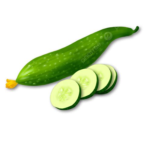 Cucumber Png Matting Free Cucumber Hand Painted Cucumber Hand