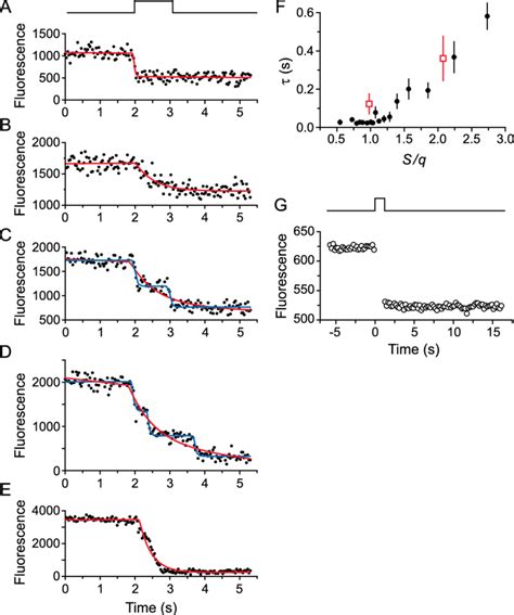 Time Course Of Release A D We Selected All Traces Where F 50 Fitc Download Scientific Diagram