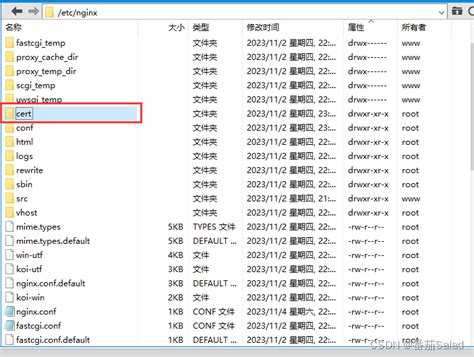 Springboot Vue2项目打包部署到服务器后，使用nginx配置ssl证书，配置访问协议转协议