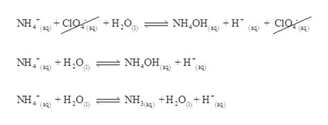 Answered Write The Net Ionic Equation For The Bartleby
