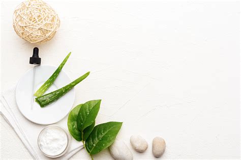 신선하고 천연 알로에 베라 화장품 배경 Emty 공간 핸드메이드 스킨 케어 제품 얼굴 치료 준비 및 피부 상쾌한 크림 배경 천연