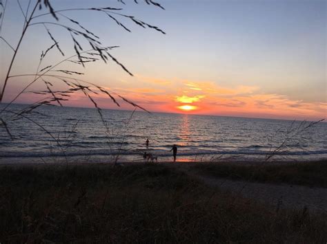 Книжка в дрешка 🍋🍋🍋Модел “Лимони” 🍋🍋🍋 Използвани материали памучни платове вата дантела