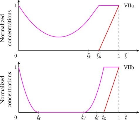 schematic normalized aerobic concentration profiles for the two