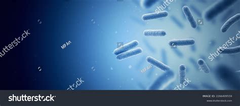 Prokaryotic Cell Model 3d