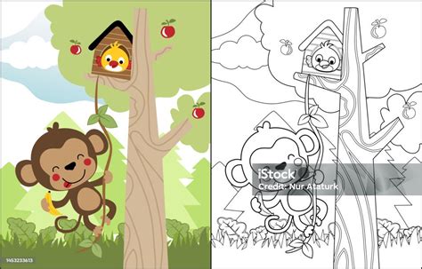 나무에서 재미 있는 원숭이와 새의 벡터 만화 색칠 공부 책 또는 페이지 원숭이에 대한 스톡 벡터 아트 및 기타 이미지 원숭이 유인원 색칠하기 Istock