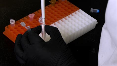 Video Identification Of Rna Fragments Resulting From Enzymatic