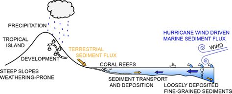 A Conceptualized Schematic Of Terrestrial And Marine Sediment Transport Download Scientific