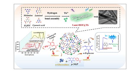 Lumi Hoftb As Probes For Multiple Ratiometric Fluorescence And
