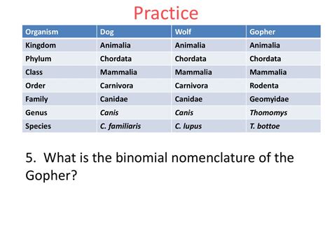 Materials None Turn In Kingdoms Worksheet To Tray Catalyst 5