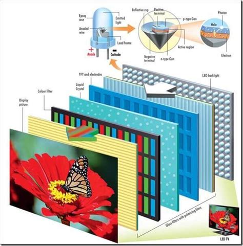8 Types Of Computer Monitors All About LCD CRT TFT DLP LED