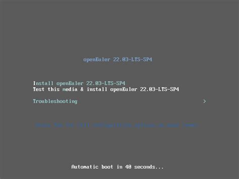 Arm 服务器上安装 Openeuler 欧拉 阿里云开发者社区