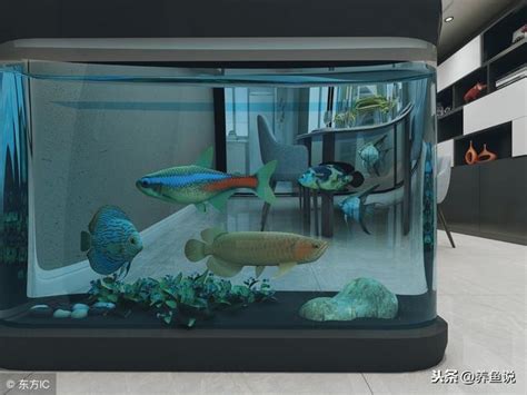 這種魚缸很多人用，不過它的淨水效果卻不好，試著用這些方法彌補 每日頭條
