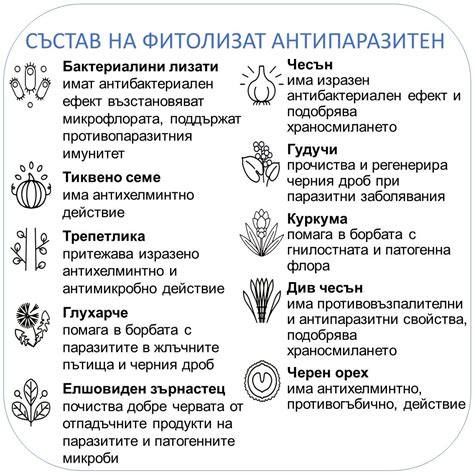 ЗДРАВИ БЪБРЕЦИ И ПИКОЧНИ ПЪТИЩА Vedabiotica Bg