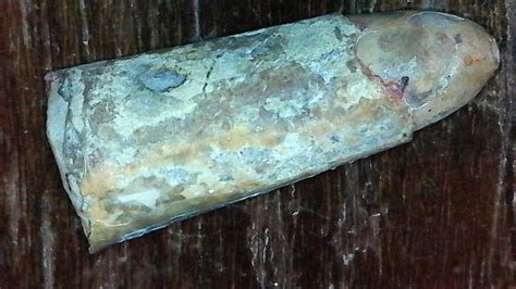 Bullet Shaped Pennsylvanian Fossil Fossil Id The Fossil Forum