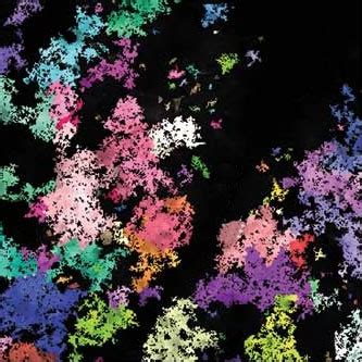 Overwhelmed Your Astrocytes Can Help With That UC San Francisco