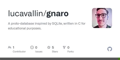 gnaro an educational proto database inspired by sqlite written in c r programming