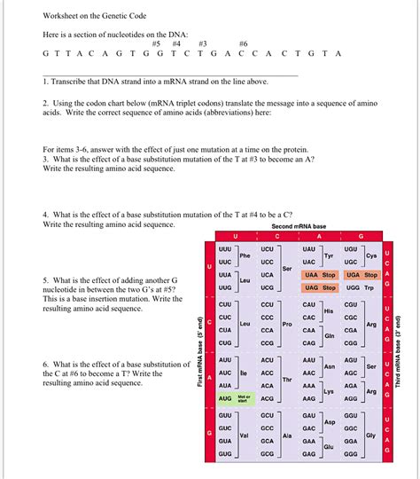 Codon Chart Worksheet Answer Key