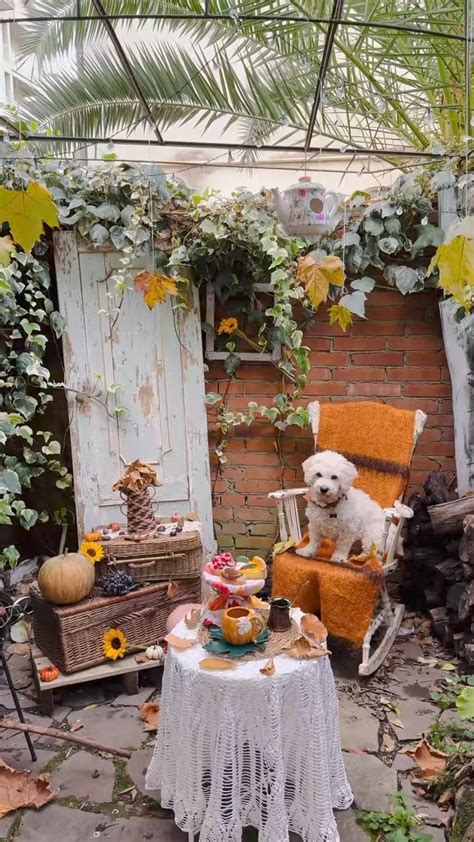 მევიდა გაჯენჯილი მეიტანა საჩუქრები 🎅🎁🍫🥰 საახალწლო აქსესუარები ძალიან დიდი მადლობა თქვენ