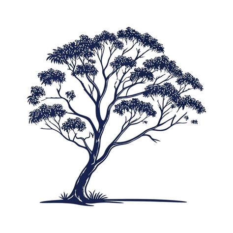 Eucalyptus Tree Bold Outline For Artistic Use 57812391 Vector Art At