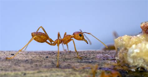 Hacemos Periodismo Infobae