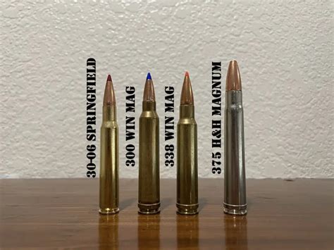 300 Wsm Vs 300 Win Mag Ultimate 30 Cal Magnum Comparison