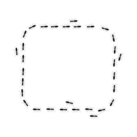 개미 액자 벡터 Freepik에서 무료 고품질 벡터를 다운로드하세요 Freepik