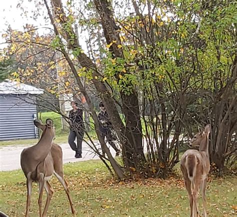 Grassy Narrows Grassy Narrows Education Authority