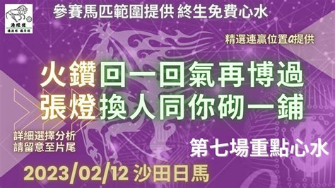 港經佬賽馬貼士及分析｜第七場參賽馬匹資料｜12 02 2023 沙田十場日馬泥草混合賽事｜免費心水及賽馬貼士｜全方位博彩及投資頻道｜足球｜賽馬