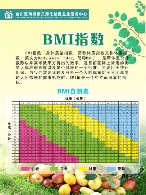 Bmi儿童指数手抄报 儿童手抄报 蒲城教育文学网