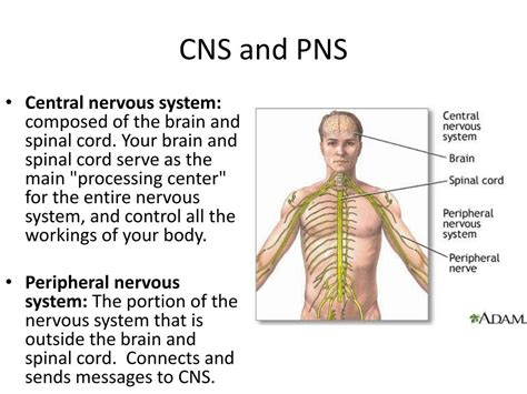 Ppt Hbs Eca Powerpoint Presentation Free Download Id1538582