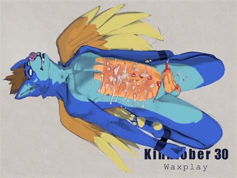 Rule 34 Candle Candle Holder Candle Wax Domestic Cat Felid Feline