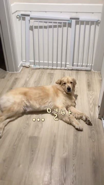 이럴거면 왜 본거야🤷🏻‍♀️ Shorts Youtube