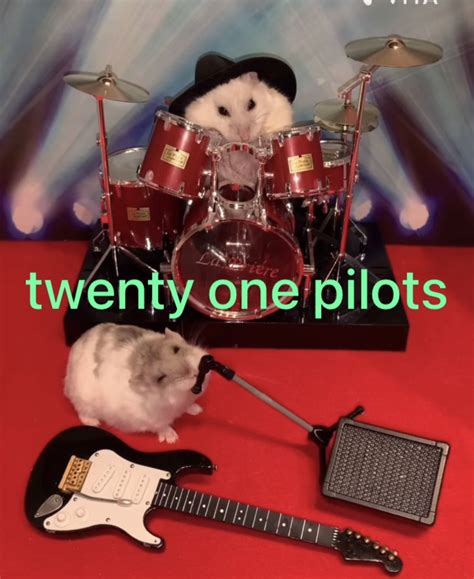 Post By Cheeeze Memes