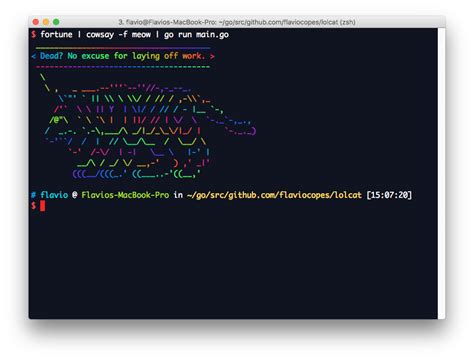 Build A Command Line App With Go Lolcat