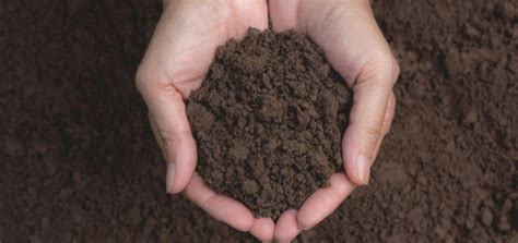 Міндовкілля затвердило Методику визначення розміру шкоди завданої землі внаслідок бойових дій