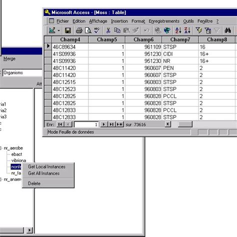 Querying A Db From The Pdbct Graphical Interface Top Left A Grid With