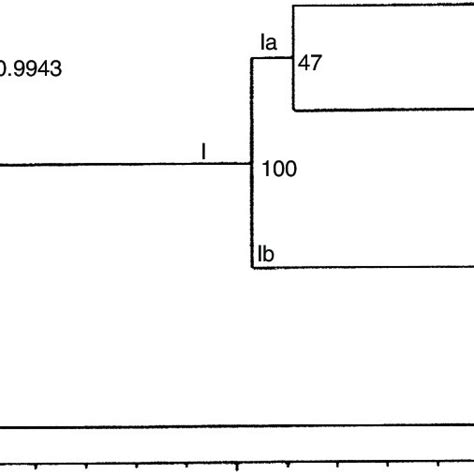 dendrogram constructed based on the upgma algorithm with the