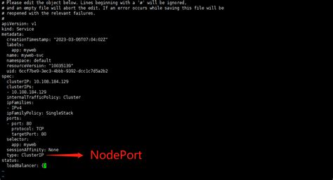 云原生 Kubectl Expose 发布 Clusterip Nodeport服务kubectl Expose Nodeport Csdn博客