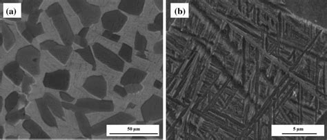 Sem Images Showing The Bimodal Microstructure Of Lpbf Ti64 Where A Download Scientific