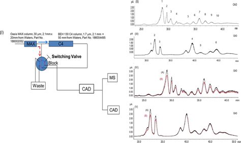 I Lc Ms And Lc Cad Assay Scheme For Online Protein Removal And Ps