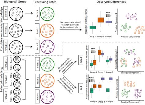 scrna seq 吐血整理的单细胞入门教程（从原理到代码实操）（二） 单细胞测序 代码 csdn博客