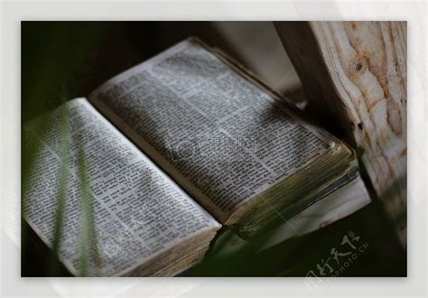 圣经图片素材 编号25201311 图行天下
