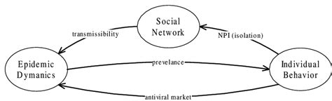 Interactions Among Epidemic Dynamics Social Network And Individual