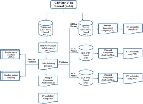 Schematic Representation Of The Work Flow Of Statistical Analysis To Download Scientific