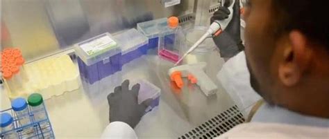 What Is A Desmoid Tumor The Desmoid Tumor Research Foundation